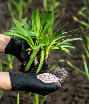 Harnessing the Power of Agricultural Biologicals for Climate-Smart ...