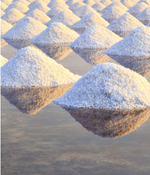 Industrial Salt Market Size, Analysis, Growth Forecast, Report